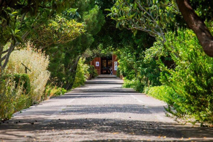 MUCBO | Jardí Botànic de Sóller - Balearic Museum of Natural Sciences - Key Points