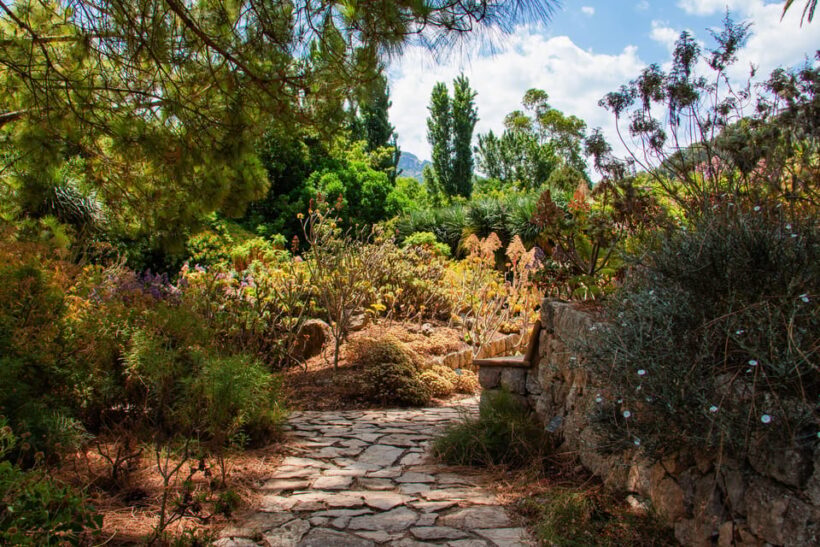 MUCBO | Jardí Botànic de Sóller - Balearic Museum of Natural Sciences - The Sum Up