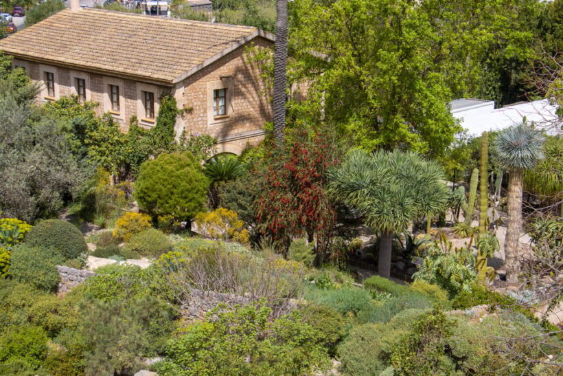 MUCBO | Jardí Botànic de Sóller - Balearic Museum of Natural Sciences - FAQ