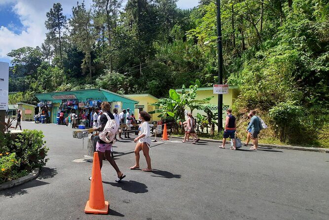 Mud bath and Waterfall with Snorkeling at Sugar beach - Who Should Consider This Tour?