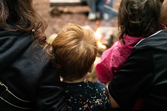 Muddy Tots Go Wild Forest School Ballynahinch County Down - Authentic Reviews and What They Tell Us