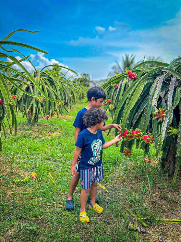 Mui Ne: Best day to Ta Cu Mountain Cable Car & Lying Buddha - The Practicalities and Value