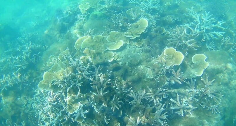 Mui Ne: Hidden Waterfall, Vinh Hy Bay Snorkeling Adventure - How the Day Unfolds: A Detailed Breakdown