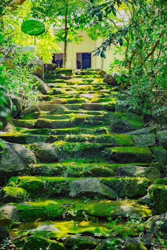 Mui Ne Sand Dunes Quad Bike Atv And Vung Tau City 2 Day Tour - Key Points