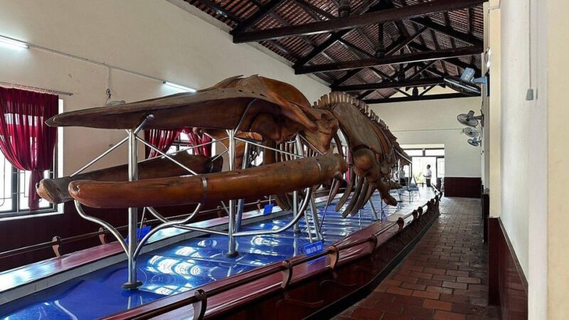 Mui Ne: Spiritual Tour in Ta Cu Moutain With Cable and Guide - Who Will Love This Tour?