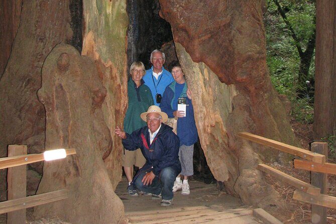 Muir Woods and California Wine Country 8 Hour Private Tour - The Sum Up