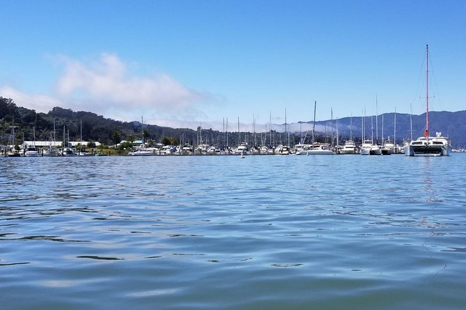 Muir Woods and Sausalito Morning Tour Small-Group Half Day - The Practicalities