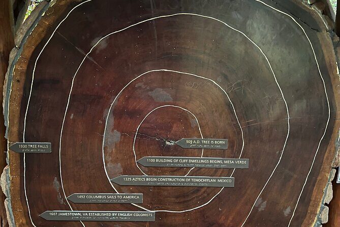 Muir Woods and Sausalito Private Tour - Key Points