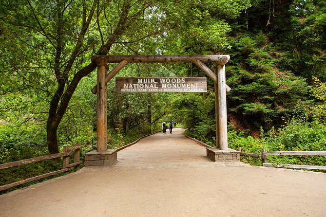 Muir Woods and Sausalito Tour Plus Bay Cruise - A Detailed Look at the Tour Experience