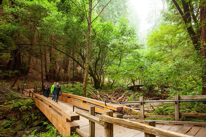 Muir Woods and Sausalito Tour Plus Bay Cruise - The Overall Value: Price, Duration, and Experience