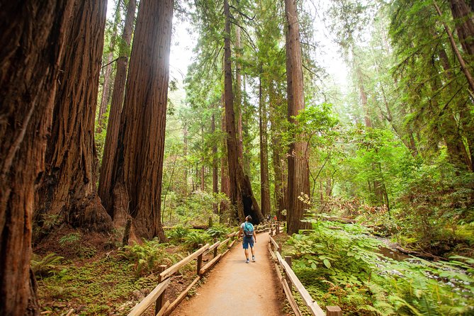 Muir Woods and Sausalito Tour Plus Bay Cruise - Additional Information