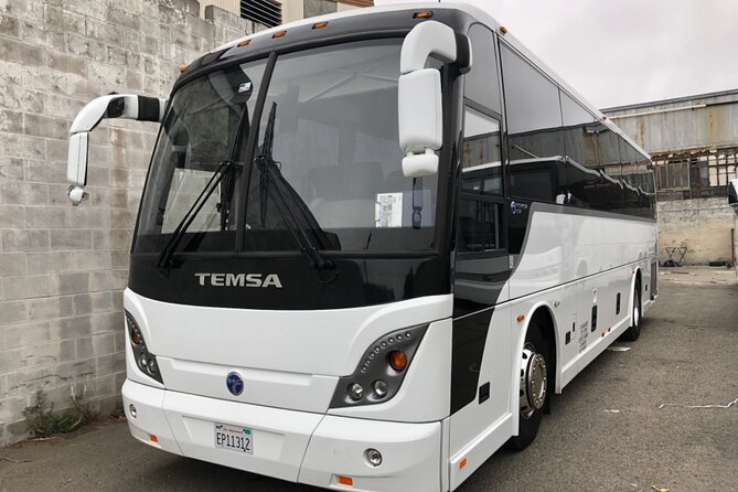 Muir Woods Express with Golden Gate Bridge Visit - Deep Dive into the Experience