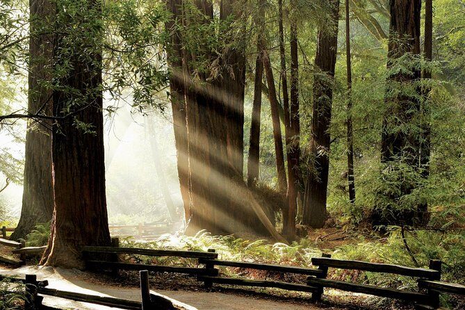 Muir Woods & Napa-8hr-Private Scenic Wine Tour From San Francisco - Who Should Consider This Tour?