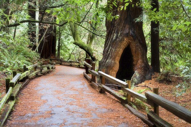 Muir Woods & Napa-8hr-Private Scenic Wine Tour From San Francisco - Final Thoughts