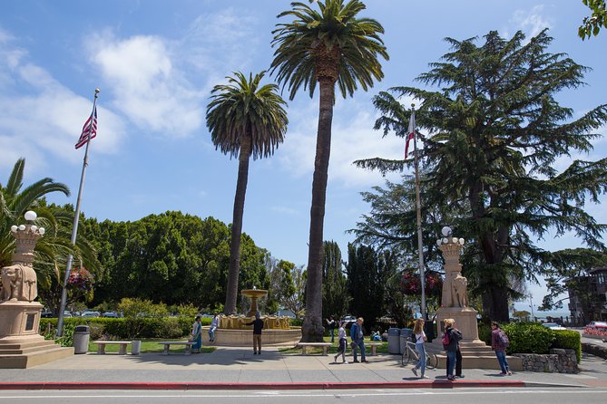 Muir Woods & Sausalito Half-Day Tour (Return by Bus or Ferry From Sausalito) - Tour Overview and Highlights