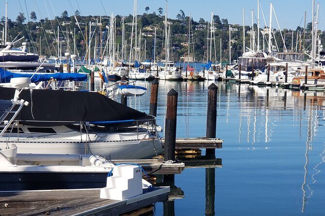 Muir Woods, Sausalito, Marin Headlands, Lighthouse Private Tour - The Sum Up