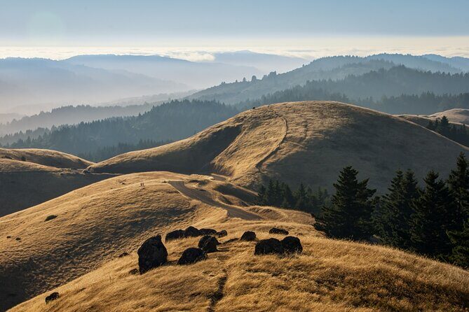 Muir Woods Self-Guided Driving and Walking Audio Tour - What are the pros of this tour?
