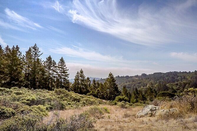 Muir Woods Self-Guided Driving and Walking Audio Tour - What are the possible downsides?