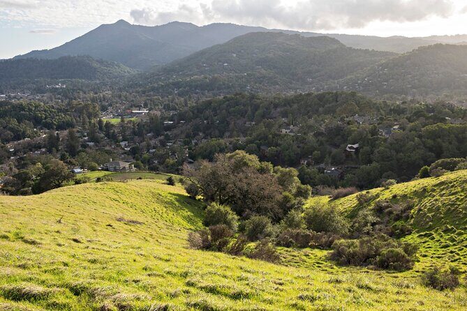 Muir Woods Self-Guided Driving and Walking Audio Tour - Is it worth the price?