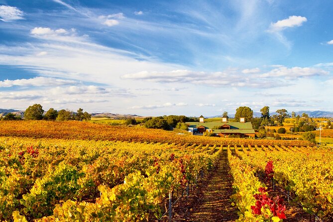 Muir Woods & Wine Tour: Redwoods & Tastings at 3 Wineries - Final Thoughts