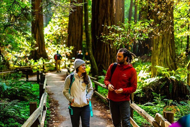 Muir Woods with Napa & Sonoma Wine Tour + Alcatraz & Aquarium Access - What’s Included and What’s Not