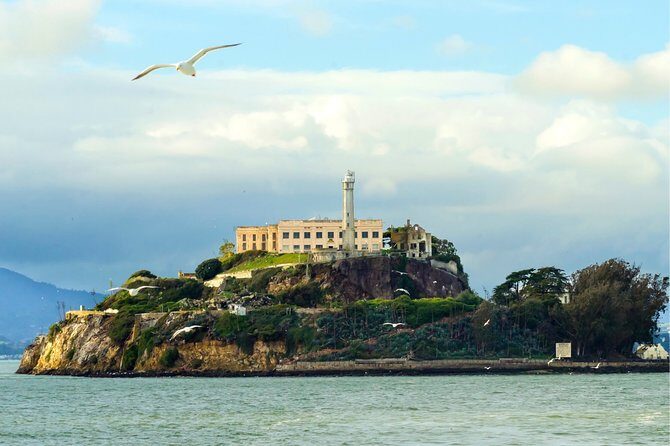 Muir Woods with Napa & Sonoma Wine Tour + Alcatraz & Aquarium Access - The Sum Up: Who Should Take This Tour?