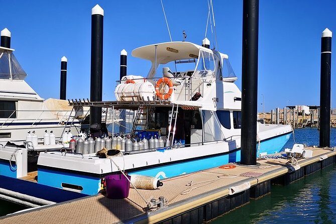 Muiron Island Diving Tour - Value and Practical Considerations