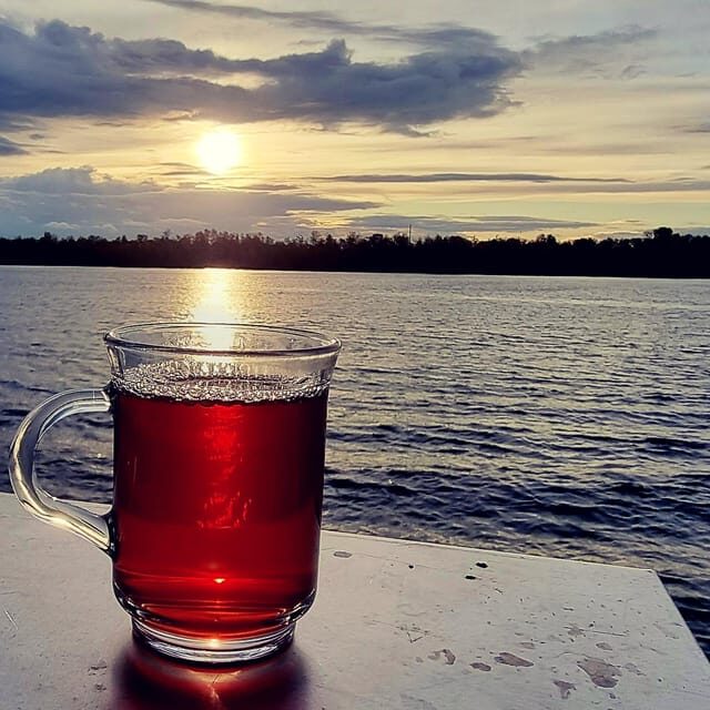 Mulled wine ride in the Leipzig New Zealand - The Experience We Loved