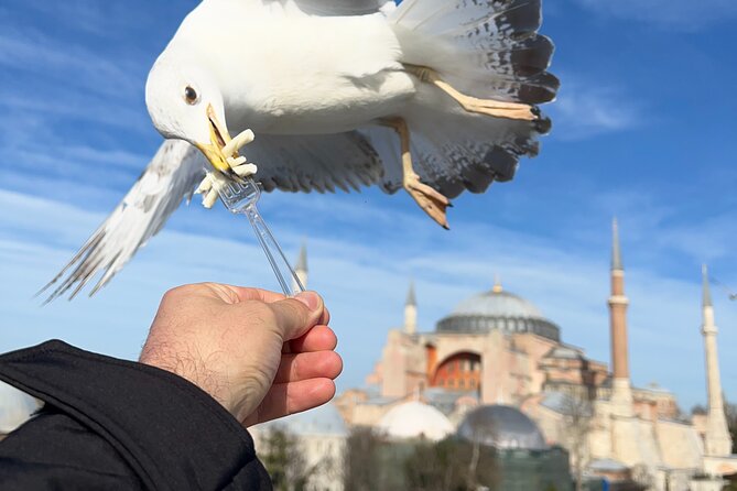 Multi 2 Days Private Guided Istanbul Iconic Landmarks City Tour - Bustling Markets and Scenic Bosphorus