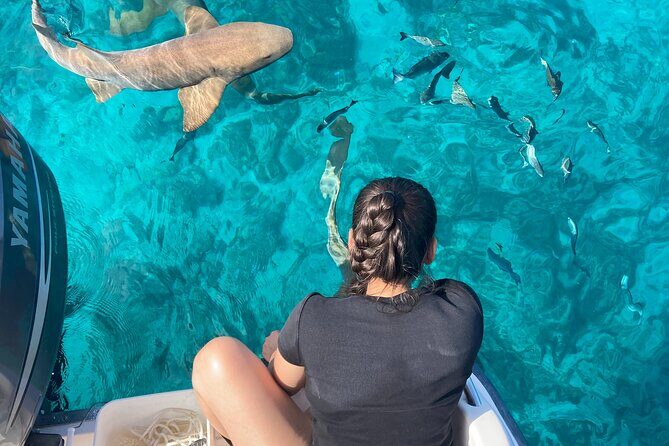 Multi-Activity Private Charter Boat in Key largo - Exploring the Multi-Activity Private Charter Boat in Key Largo – A Genuine Sea Adventure