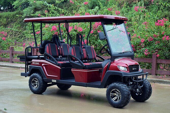 Multi Day 6 Passenger LSV Golf Cart Rental - The Sum Up