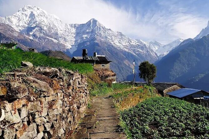Multi-Day Ghandruk Trek in Pokhara - Practical Details: Transportation, Price, and Group Size