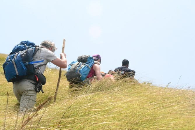 Multi Day Private Guided Tour of Kerala from Kochi by Car - Who Will Love This Tour?