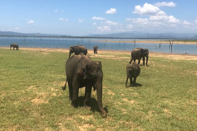 Multi Day Private Tour Around Sri Lanka with our Personal Driver - Who Will Enjoy This Tour?