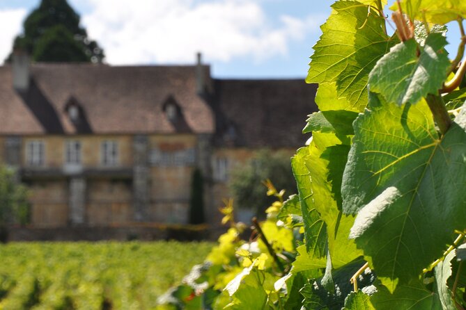 Multi Day Private Tour Prestige Burgundy with 12 Premiers & Grands Crus - The Real Value of This Tour