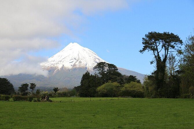 Multi Day Tour to New Plymouth and Taranaki Region from Hamilton - Who Should Consider This Tour?