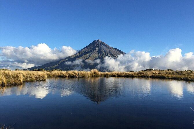 Multi Day Tour to New Plymouth and Taranaki Region from Hamilton - The Sum Up: Is This Tour Right for You?