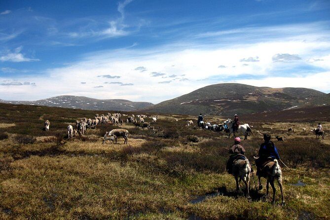 Multi-Day Tour to the Reindeer Tribe in Mongolia - An In-Depth Look at the Mongolia Reindeer Tribe Tour
