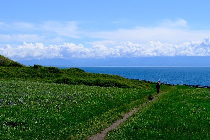 Multi Day Trek from Vancouver to Victoria - Authentic Experiences and Highlights