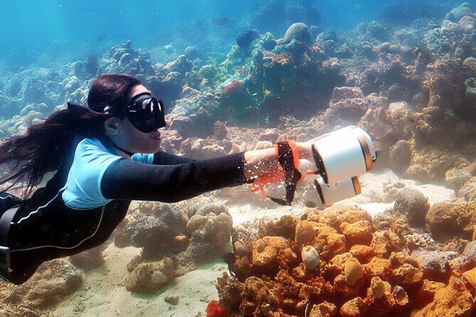 Multi-Day Underwater Sea Scooter Adventure with Free Delivery - Final Thoughts: Is This the Right Choice for You?