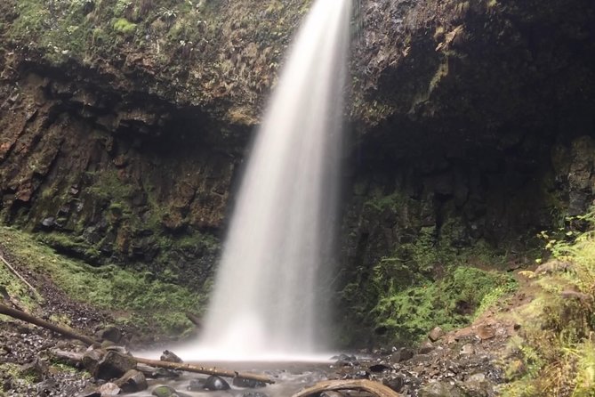 Multnomah Falls and Columbia River Gorge Half-Day Hiking Tour - Authentic Traveller Opinions