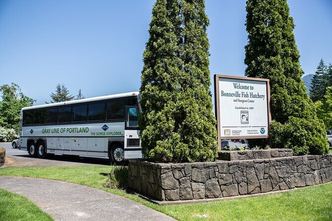 Multnomah Falls & Columbia River Gorge Tour with Gray Line -PDX03 - Considering the Experience