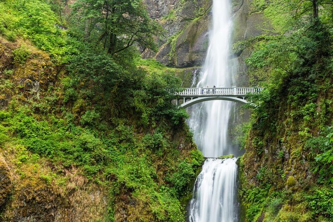 Multnomah Falls E-Bike Waterfall Tour (2+ Hours) - A Closer Look at the Tour