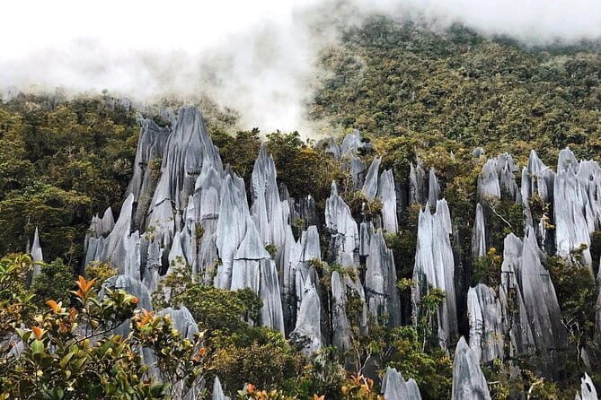 Mulu Headhunter's Trail - 3 Days Trekking & Cultural Experience - FAQs