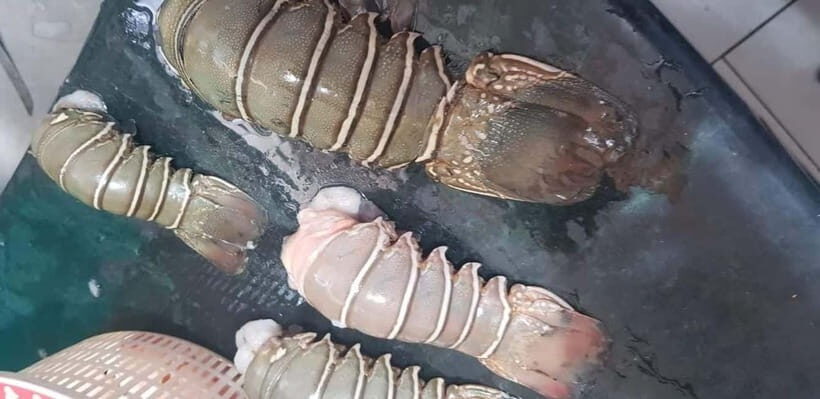 Mumbai Coastal Cooking: From Fishing Net to Flavourful Plate - Why This Tour Offers Real Value