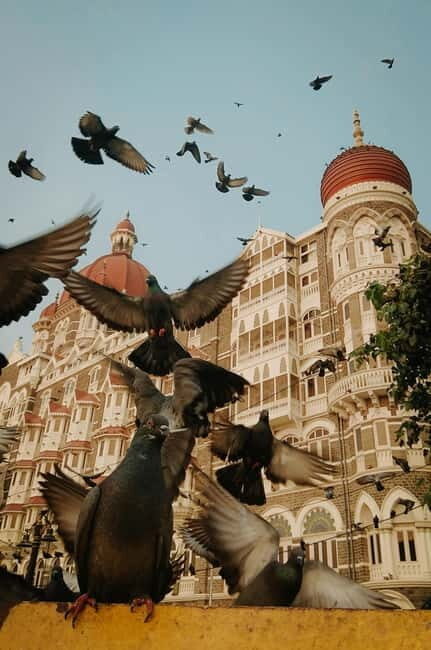 Mumbai: Half-Day City Tour with a Local - The Value of This Tour