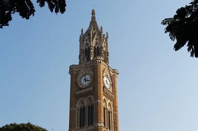 Mumbai Local City and Slum Tour by Car - Detailed Review of the Mumbai City and Slum Tour by Car