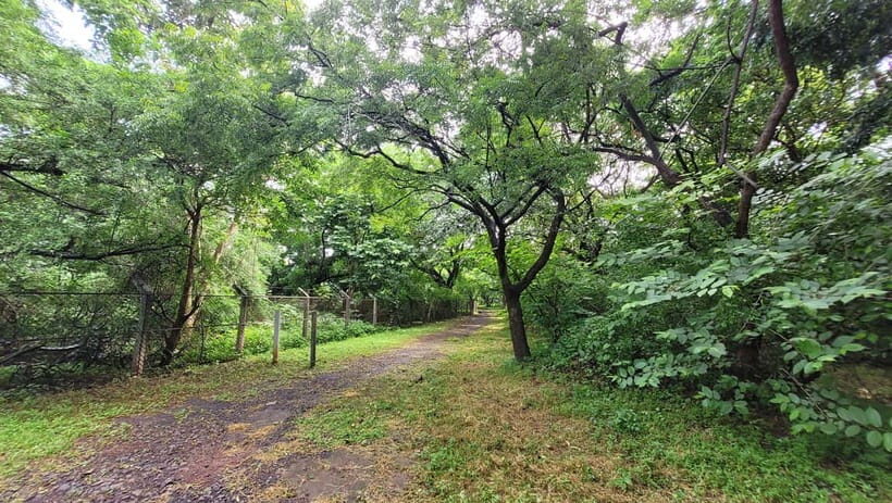 Mumbai: Maharashtra Nature Park Guided Nature Trail - Key Points