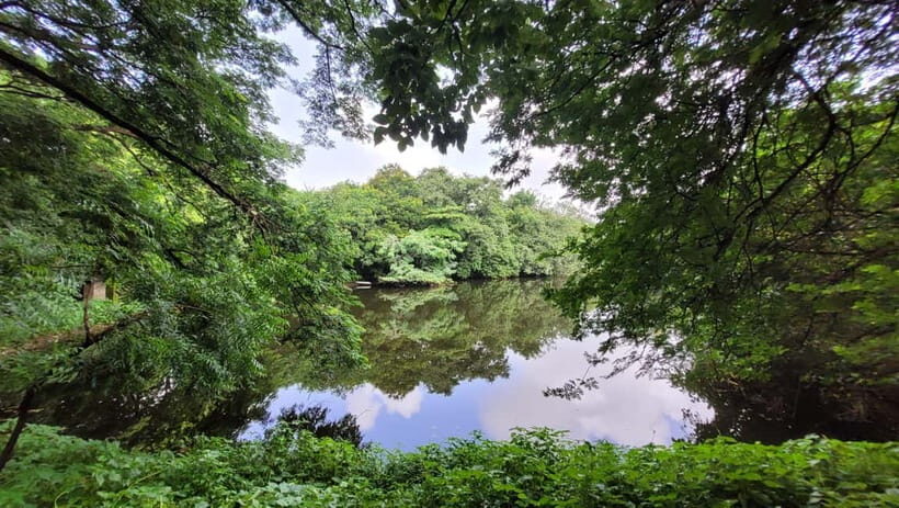 Mumbai: Maharashtra Nature Park Guided Nature Trail - Practical Tips for Your Visit