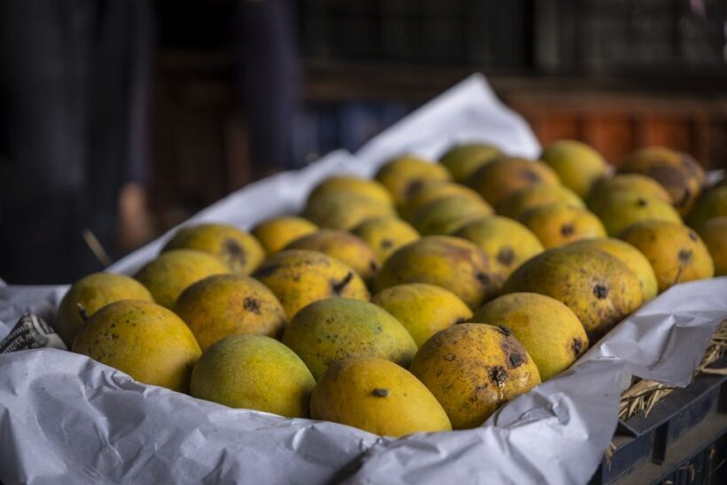 Mumbai Markets & Temples Tour - FAQ